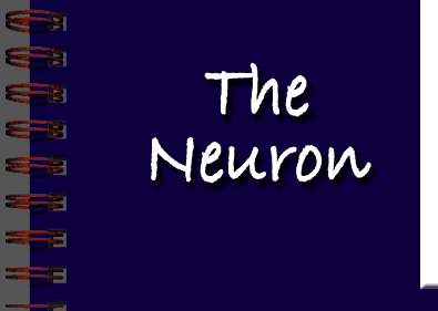Neuron Modules